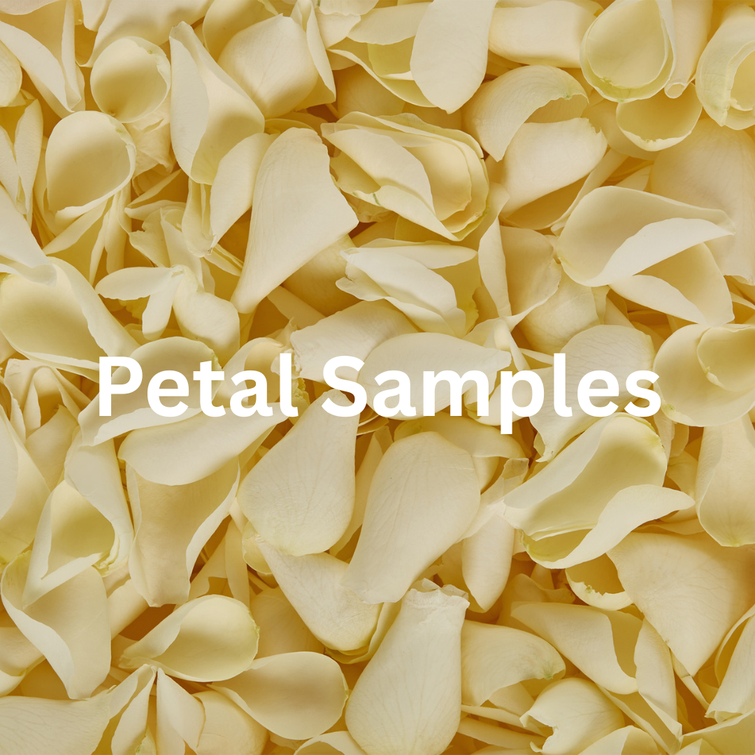 Rosepetals.ie | Petal Samples | Ireland